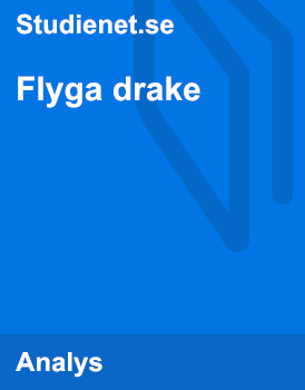 Flyga drake av Khaled Hosseini | Studienet.se